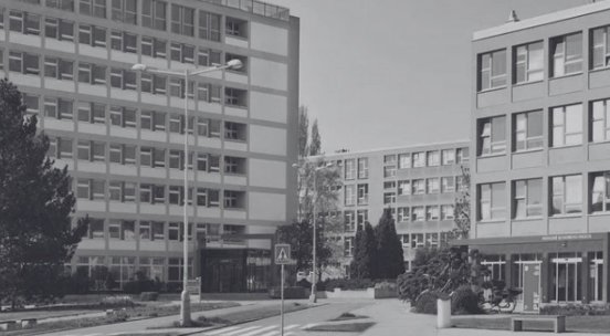 Czech University of Life Sciences Prague